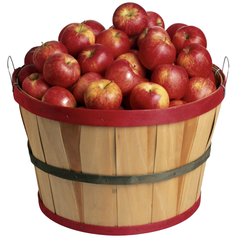 Donors - Chefs for Clearwater